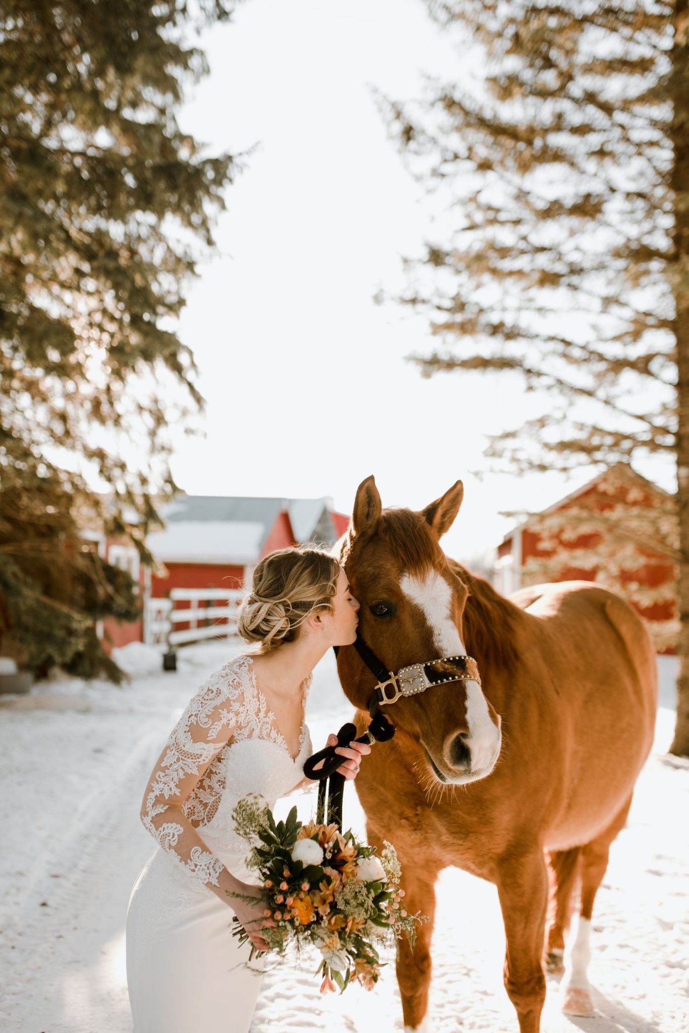 Horse Inspired Canadian Winter Wedding Shoot | Vanessa Renae