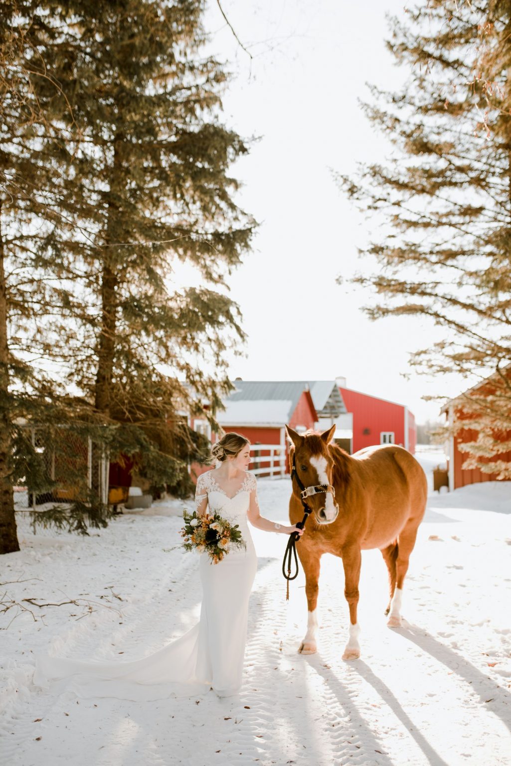 Horse Inspired Canadian Winter Wedding Shoot | Vanessa Renae